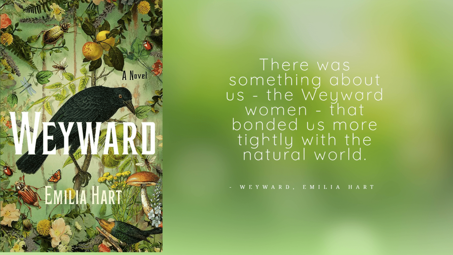 Weyward by Emilia Hart: Book Synopsis - The Book Nut