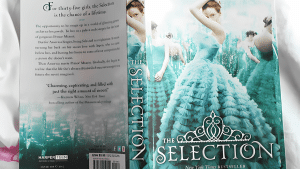 The Selection Review: Characters, Plot, and Themes Explored - The Book Nut