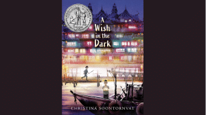 A Wish in The Dark: A Summary - The Book Nut
