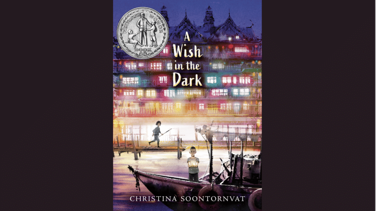 A Wish in The Dark: A Summary - The Book Nut