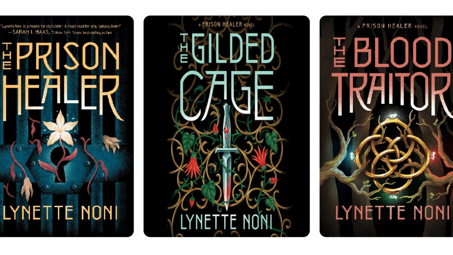 The Prison Healer: The Complete Summary - The Book Nut