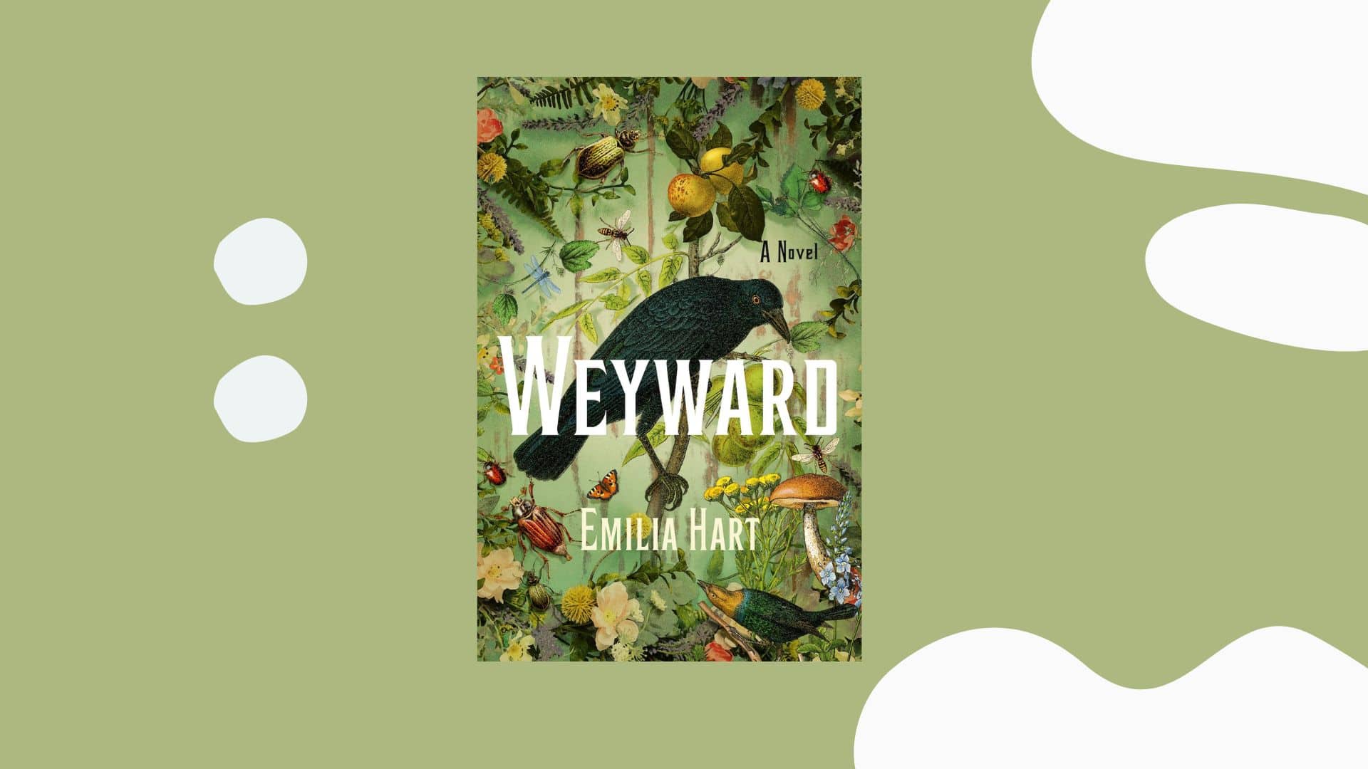 Weyward by Emilia Hart: Book Synopsis - The Book Nut